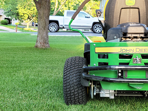 Fall Leaf Clean Up New Hope MN - Ready Pro Lawn