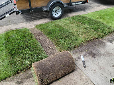 Sod Installation & Grass Seeding - Ready Pro Lawn